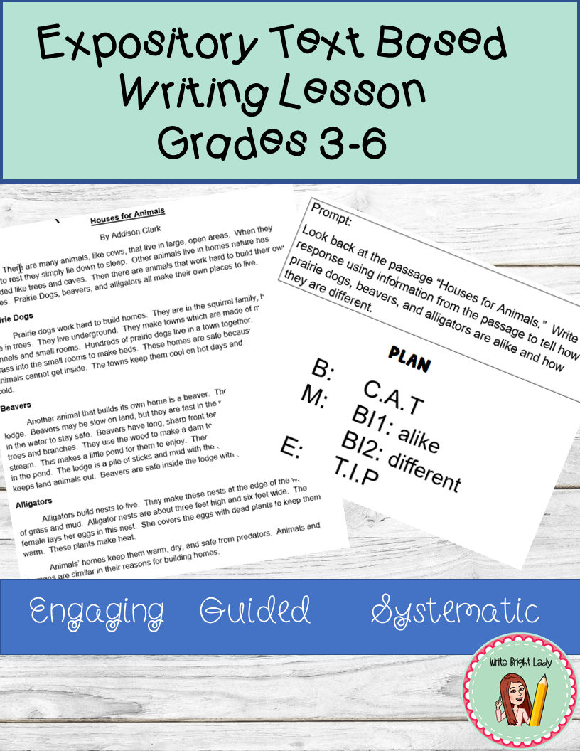 How Teach Writing (minus the “to”) - Write Bright Lady